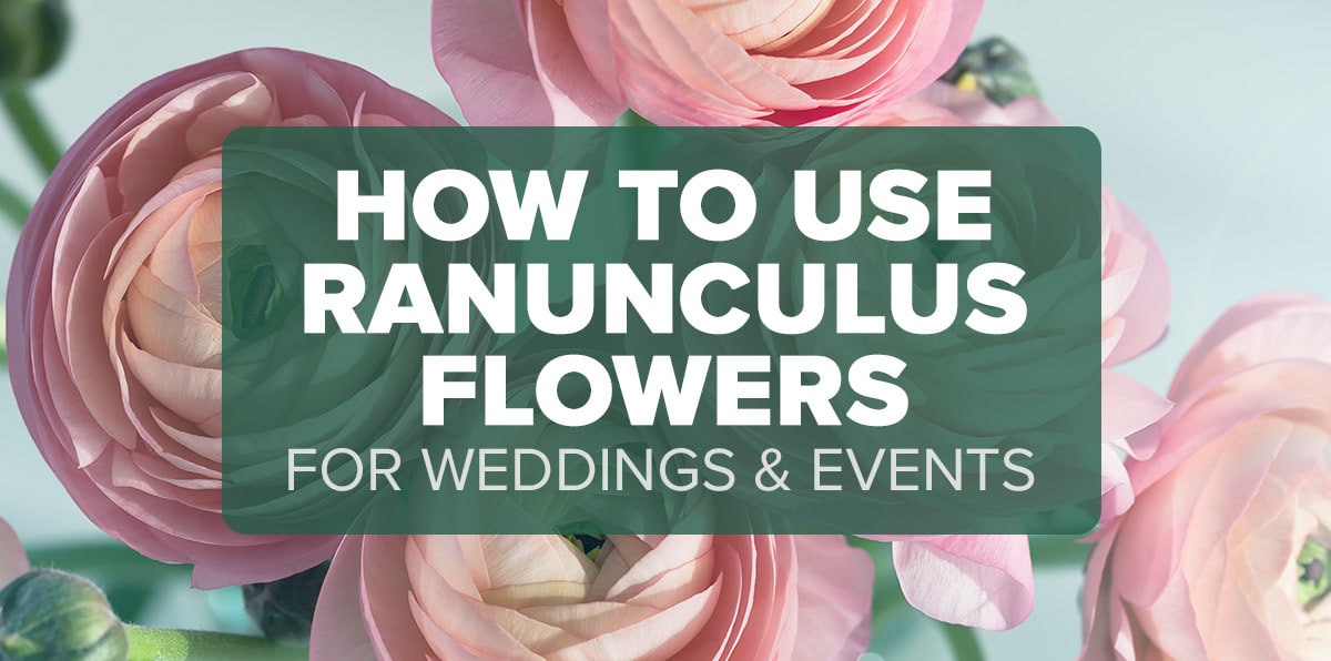 Why You Should Infuse Your Wedding with Ranunculus Flowers Marco Island ...